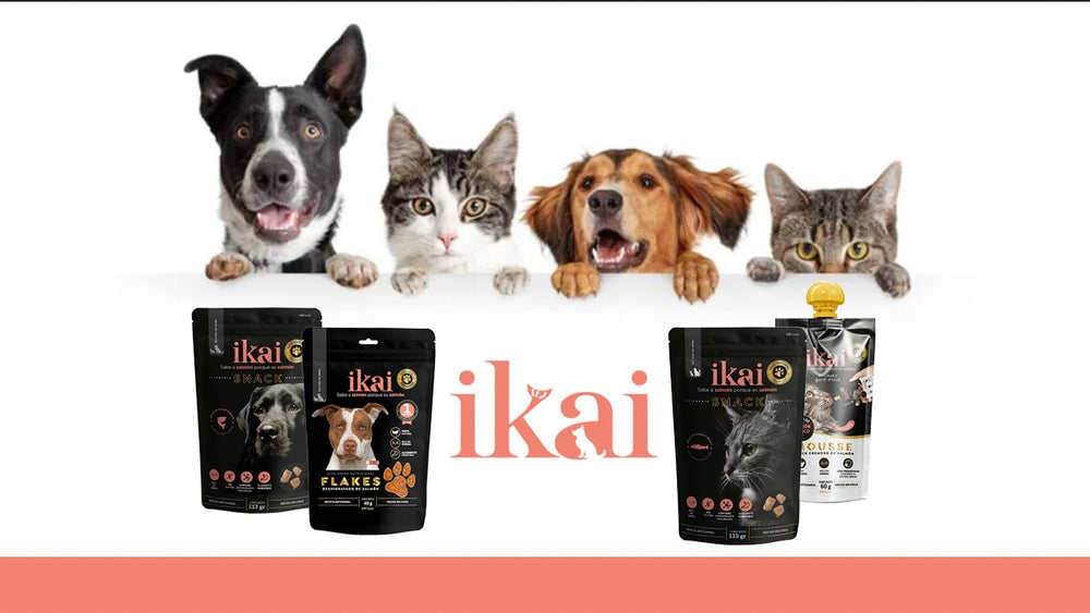 Colecciones – Ikai Chile